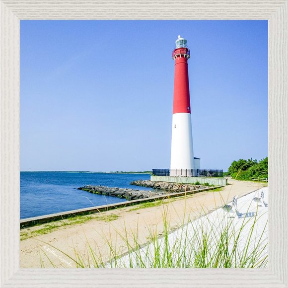 Matthew Csizmadia Photography | Art | Old Barney | Poshmark